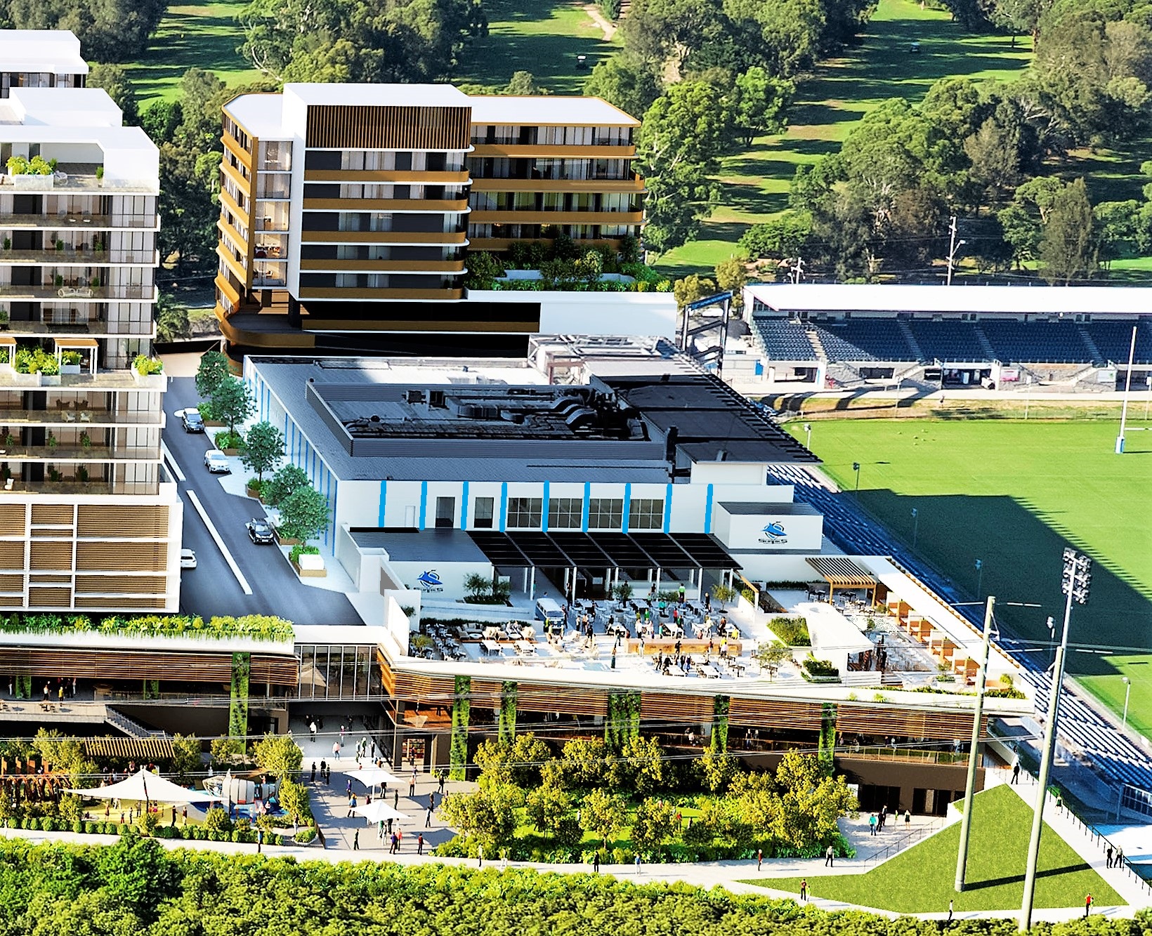 CEO Message - Inviting your feedback - Sharks